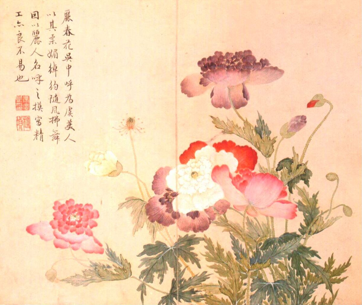 (8 of 8 pages) 8 leaf album of flowers; poppies