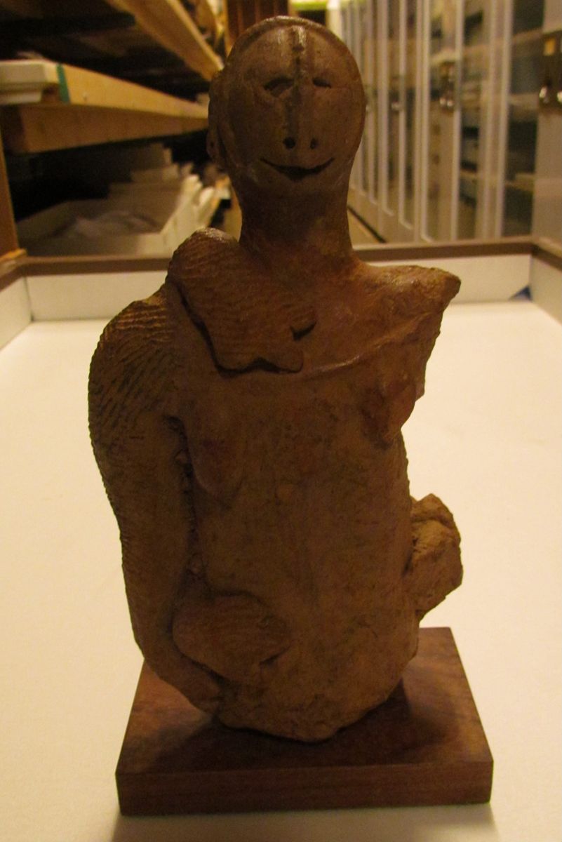 Bankoni animal on shoulder