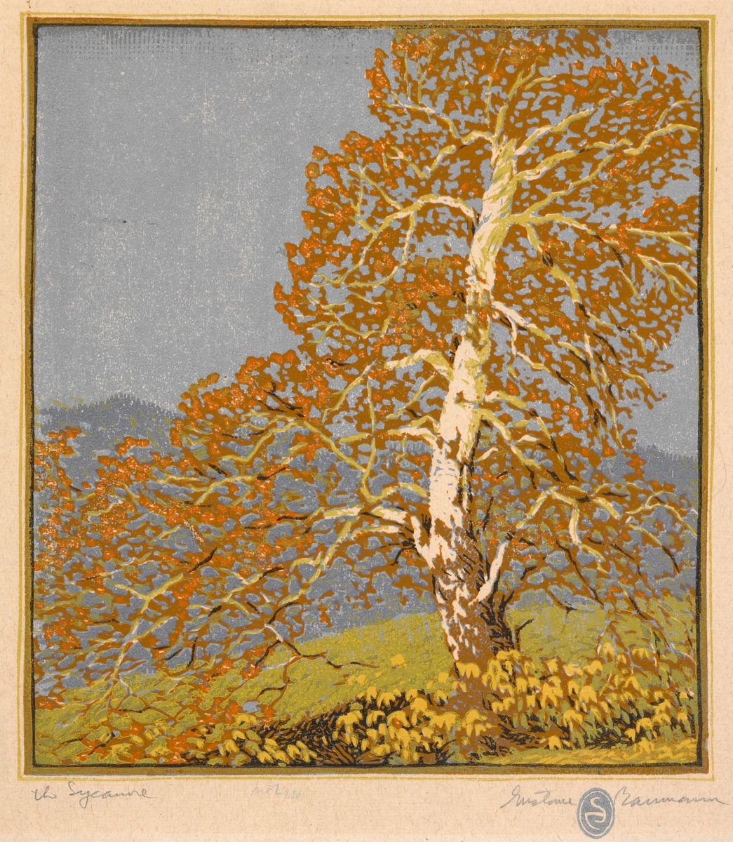 The Sycamore
