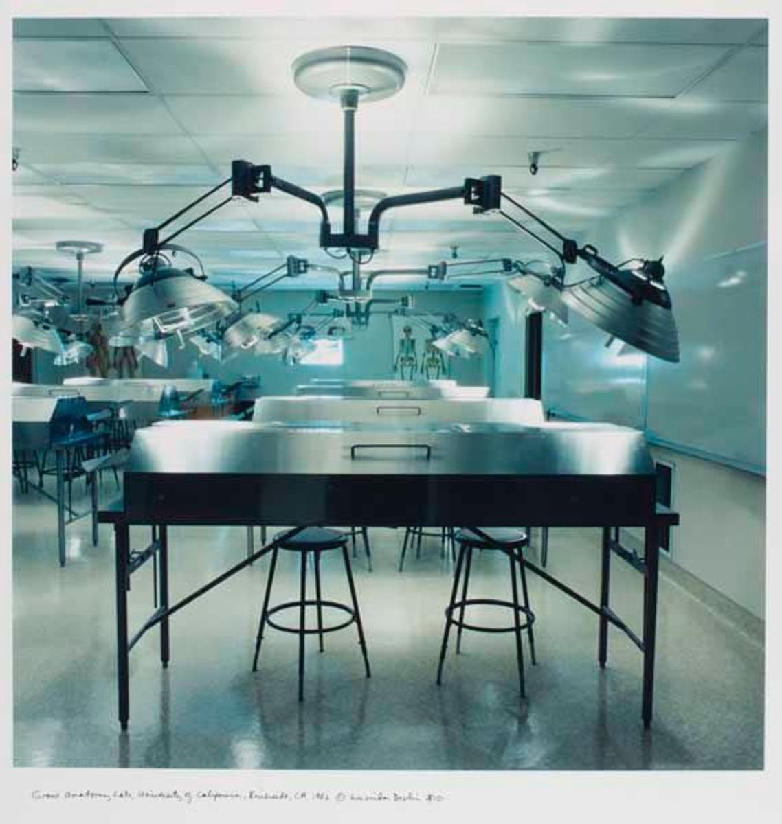 Gross Anatomy Lab, University of California, Riverside, CA