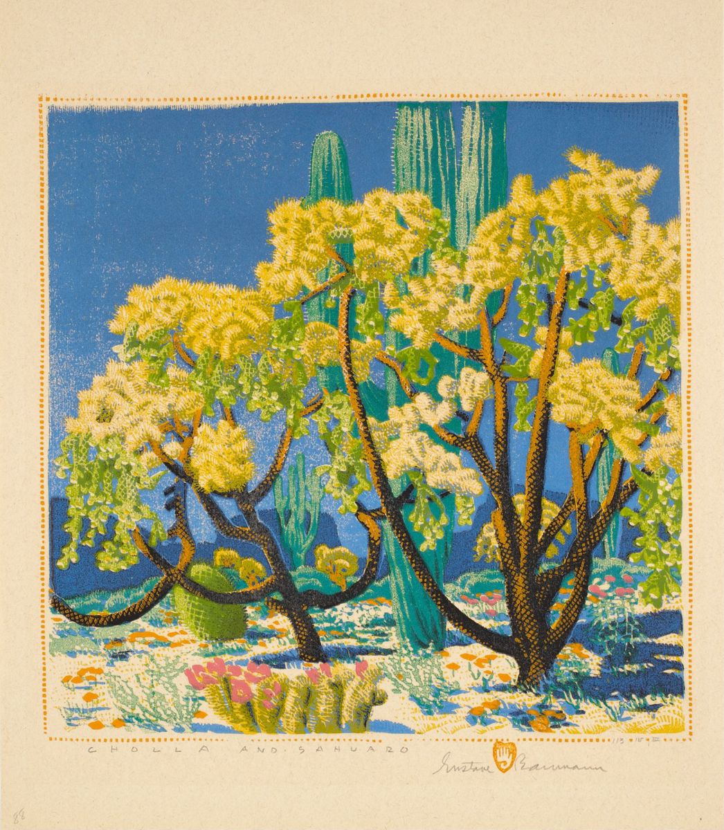 Cholla and Sahuaro