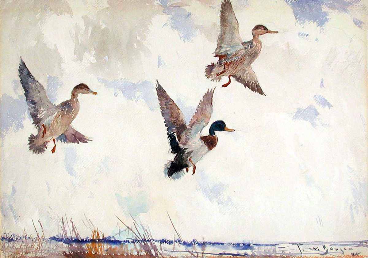 Rising Mallards